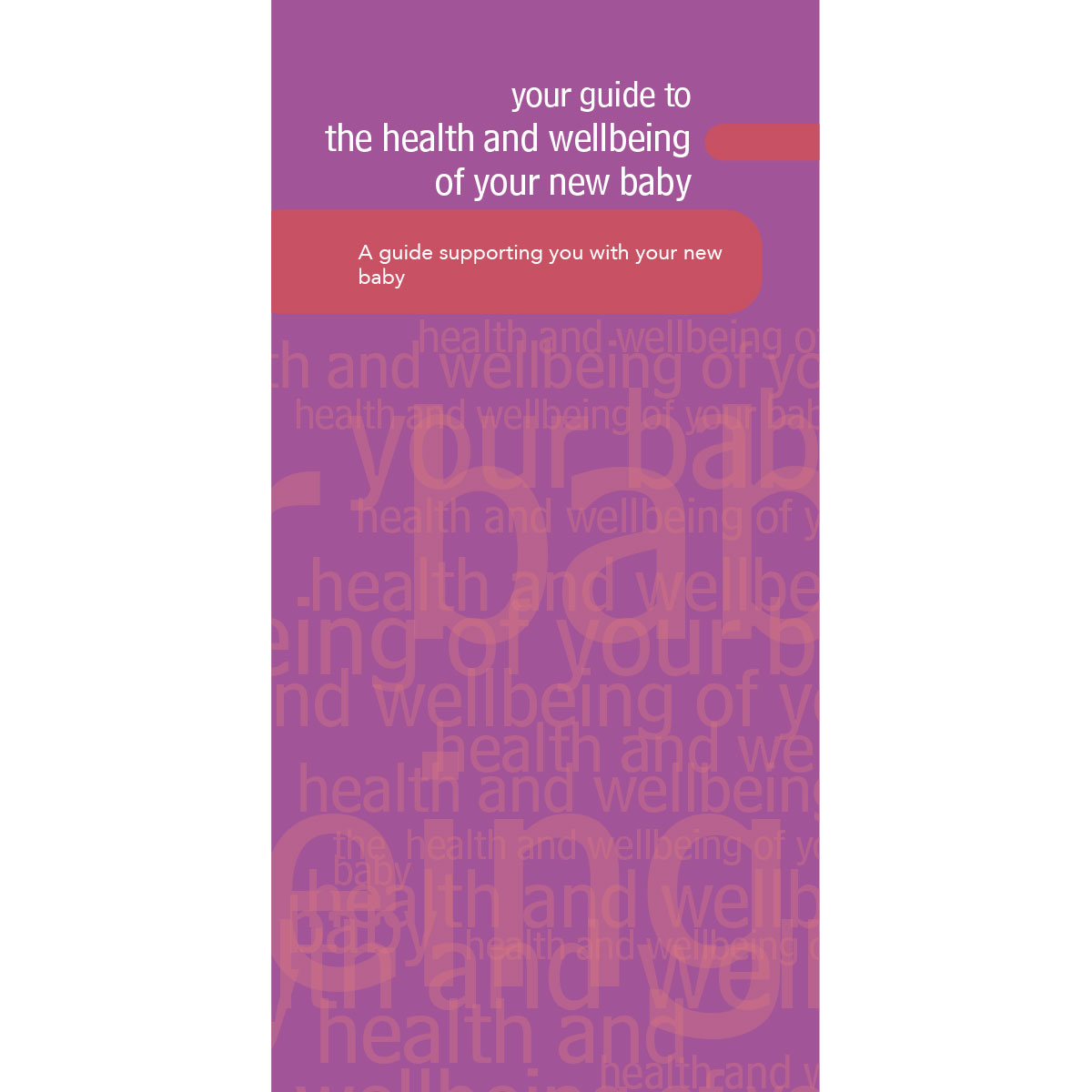 After a Baby - Your Baby's Health and Wellbeing: The FPA Guide (pack of 50)