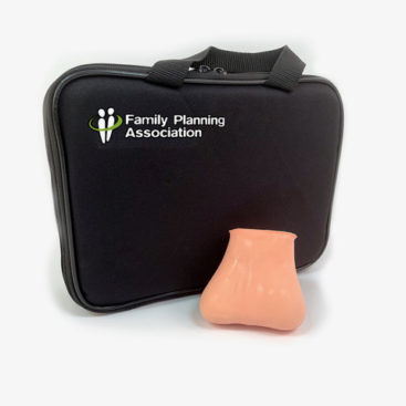 Standard testicle self-examination TSE model (Beige) - Family Planning ...